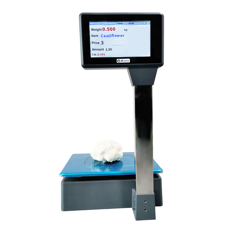 Electronic Scale 30kg, Cash Register Scale & Price Scale